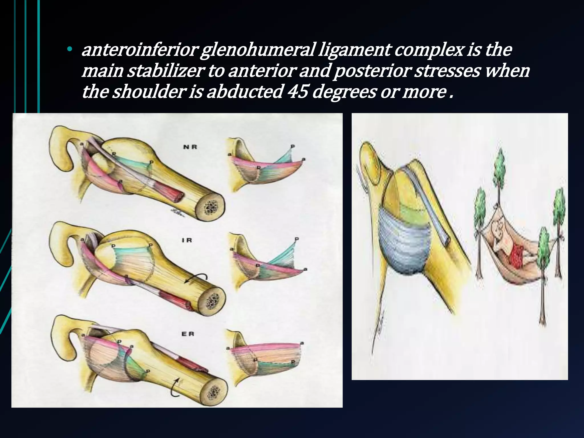 Recurrent shoulder dislocation | PPTX