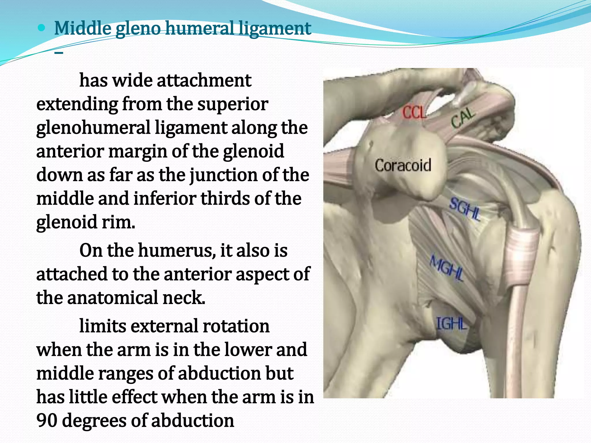 Recurrent Shoulder Dislocation | PPTX