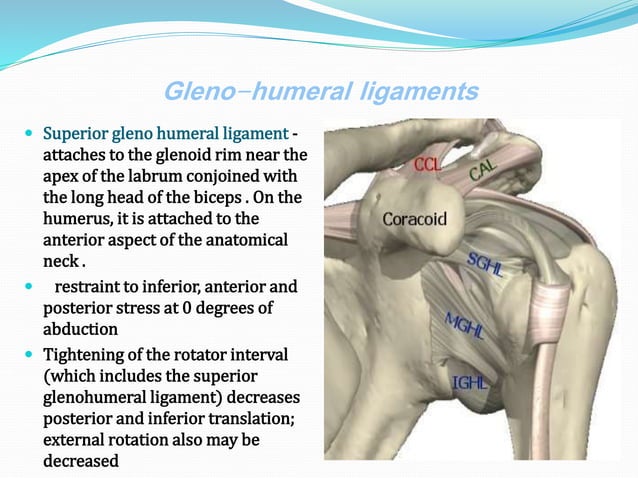 Recurrent Shoulder Dislocation | PPTX