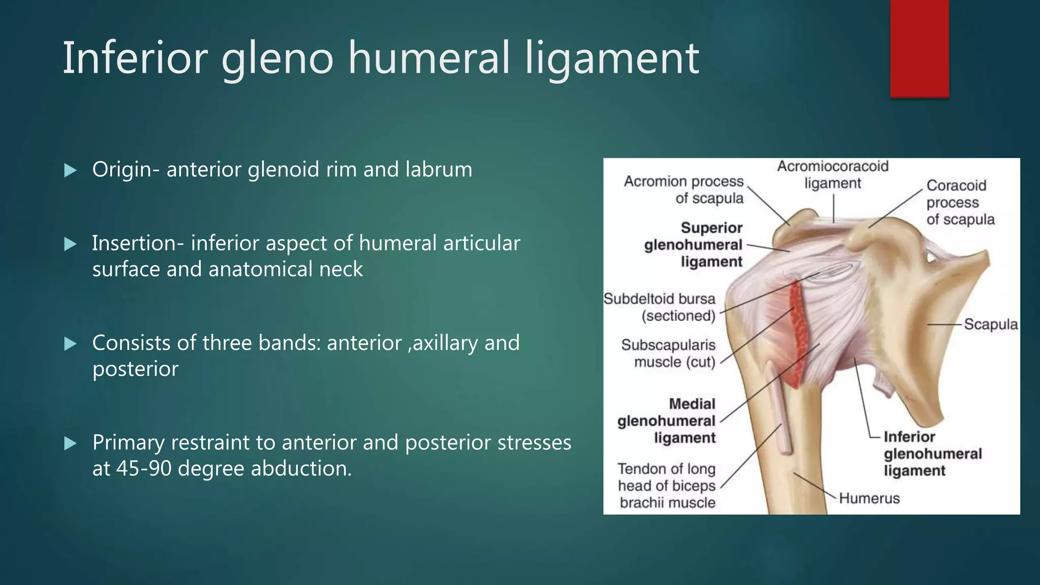 Recurrent shoulder dislocation and management | PPTX