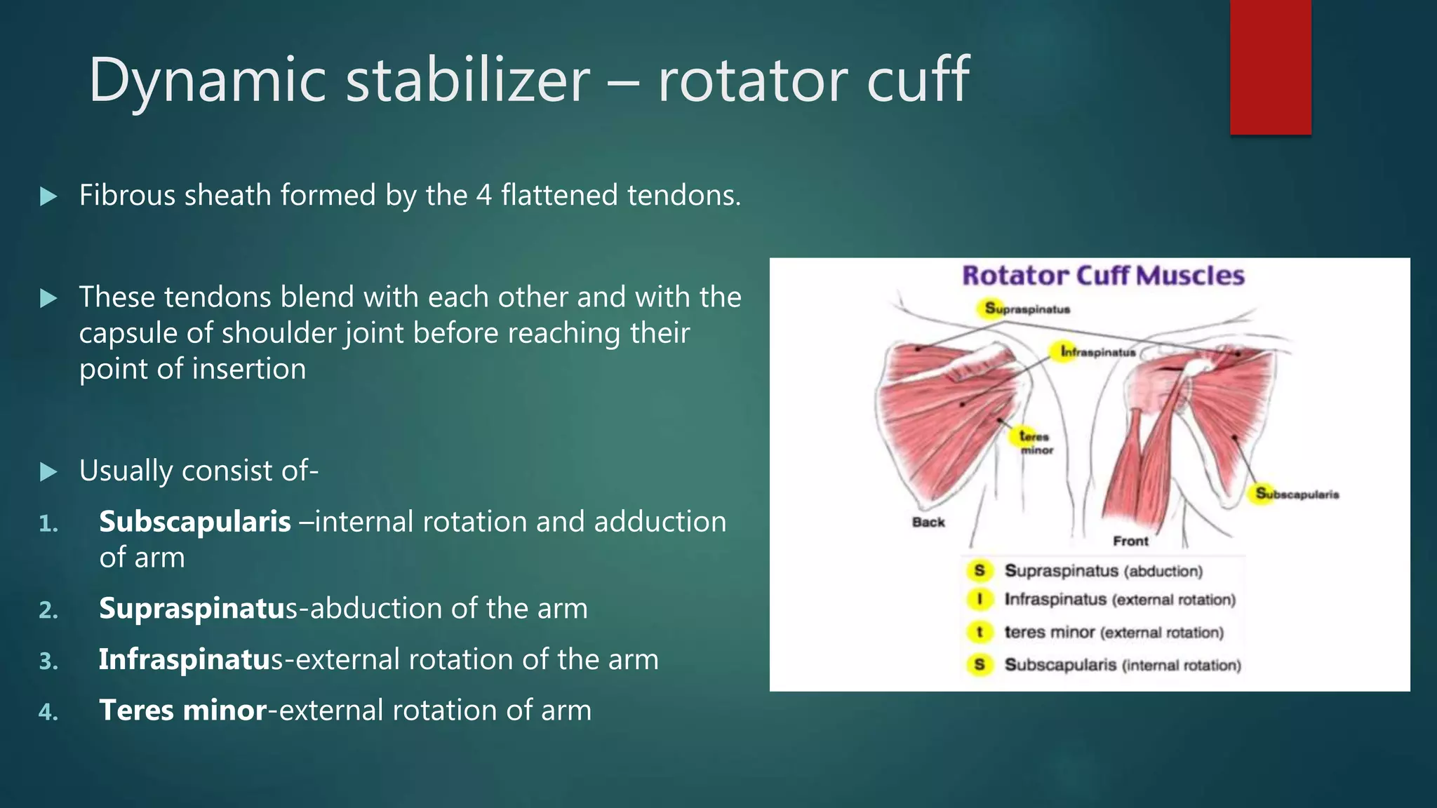 Recurrent shoulder dislocation and management | PPTX