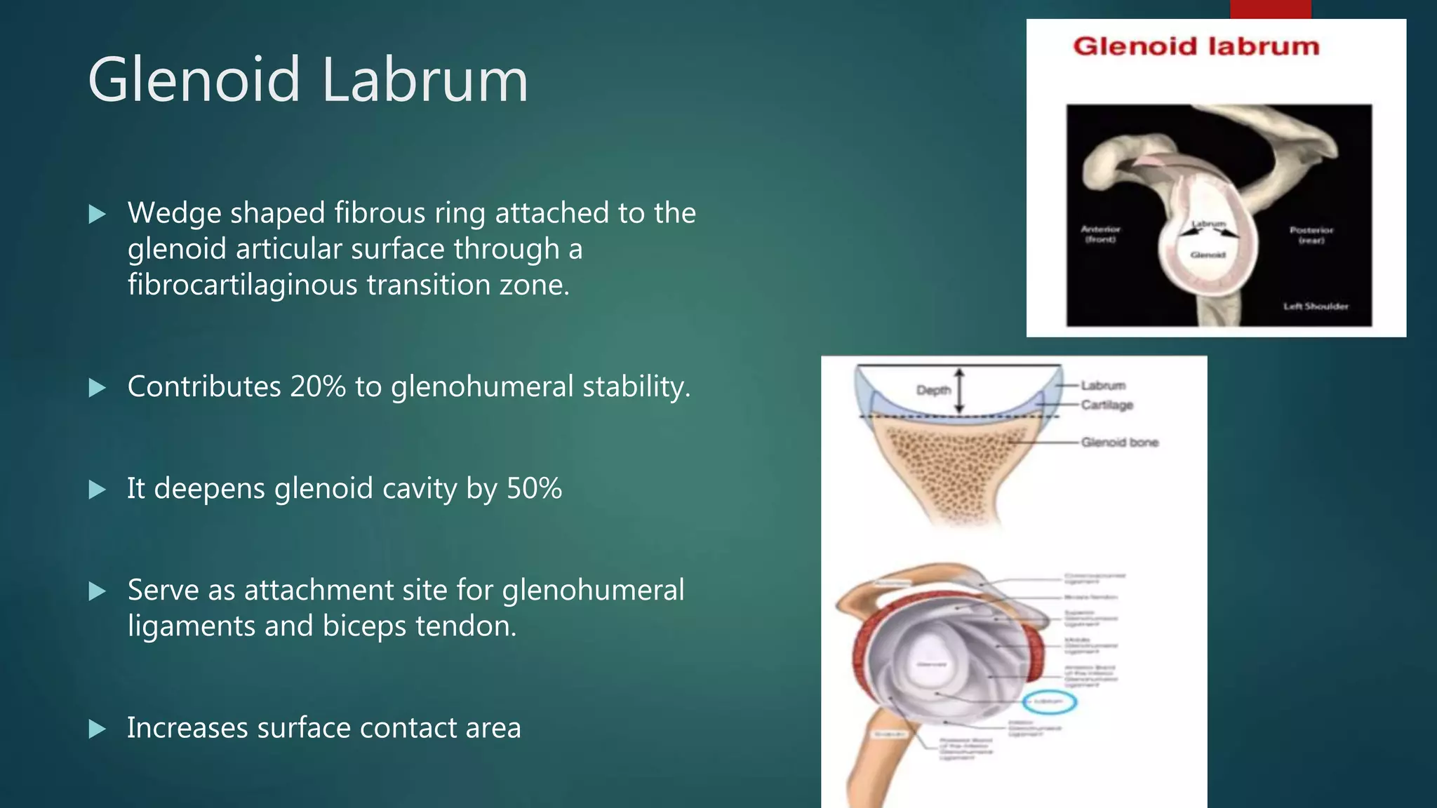 Recurrent shoulder dislocation and management | PPTX