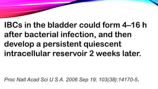 Recurrent uti without obvious risk factors | PPT