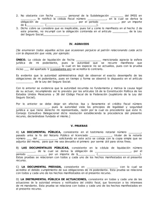 Recurso de-inconformidad-imss-general | DOCX