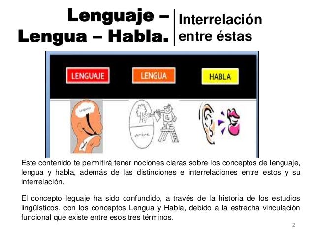 Lenguaje Lengua Y Habla Lenguaje Lengua Y Habla Esquemas