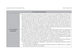 RECURSO DE PROTECCIÓN ESQUEMAS Y EXPLICACIONES | PDF
