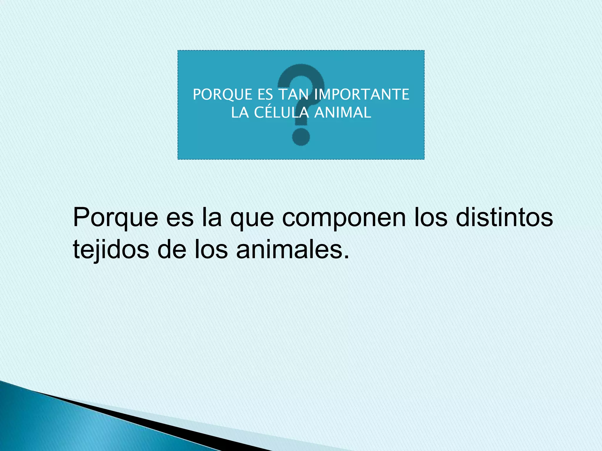 ACTIVIDAD LA CÉLULA ANIMAL | PPT