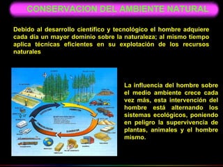 Recursos naturales | PPT