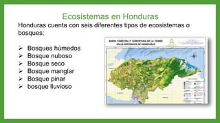 Recursos Naturales en Honduras | PPTX