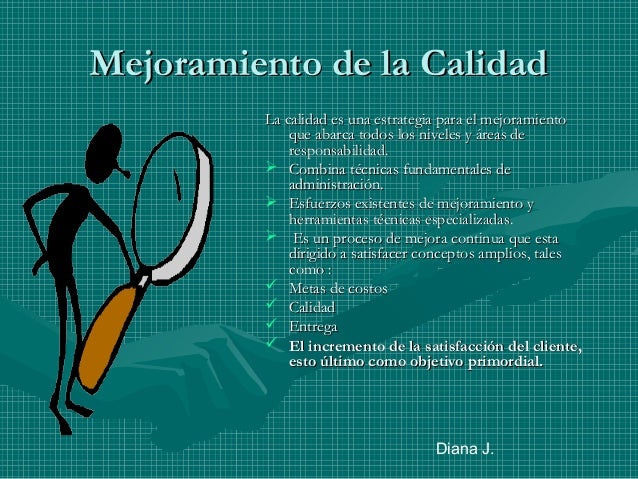 Programa De Mejora De La Calidad