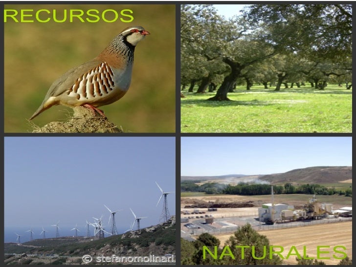 Imagenes de los componentes naturales - Imagui