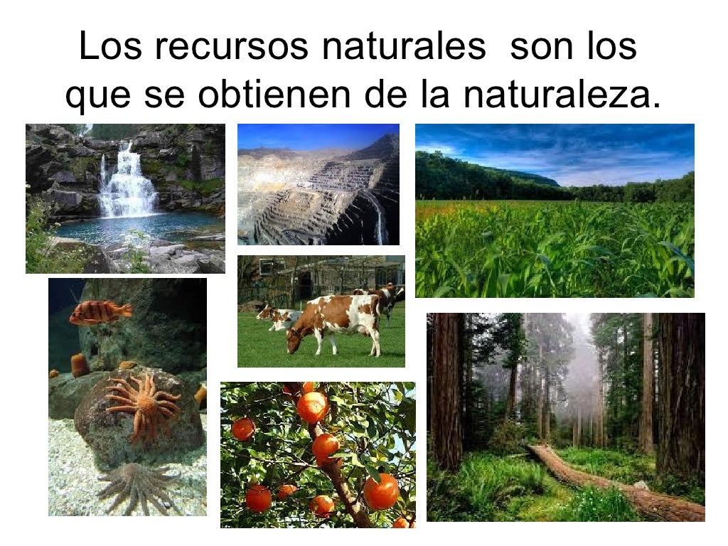 Concepto Y Clasificacion De Los Recursos Naturales Images