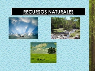 Preservación de los recursos naturales y el Medio Ambiente | PPTX