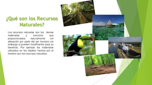 Recursos naturales en Panamá