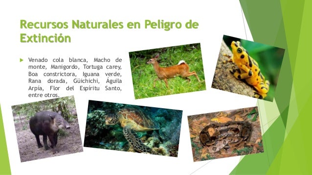 Recursos naturales en Panamá