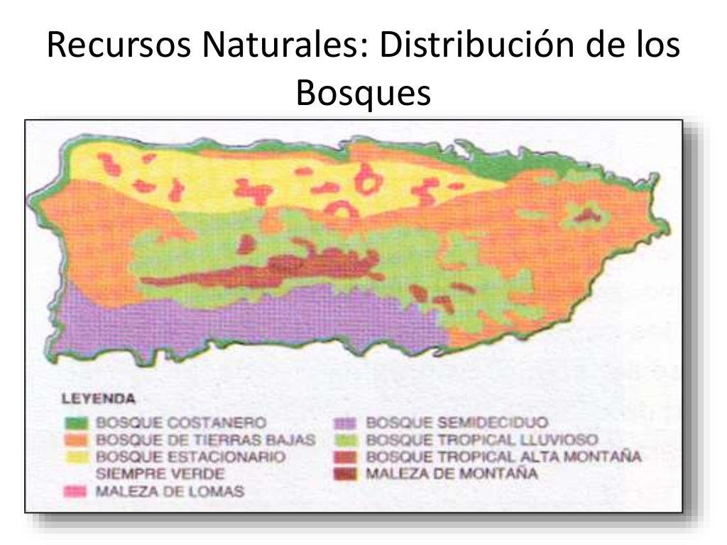 Recursos Naturales de Puerto Rico