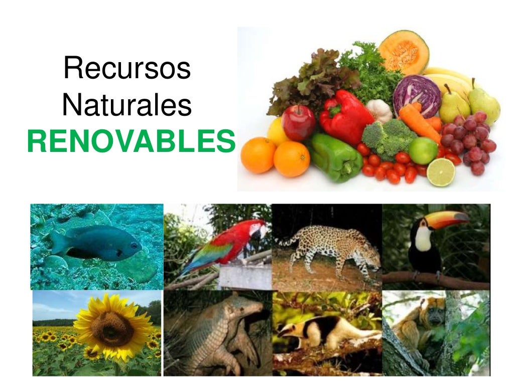 Recursos naturales de america