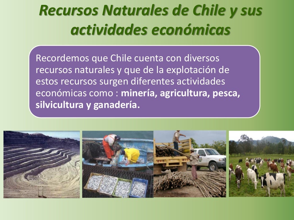 Recursos naturales de Chile ,clase 8,9