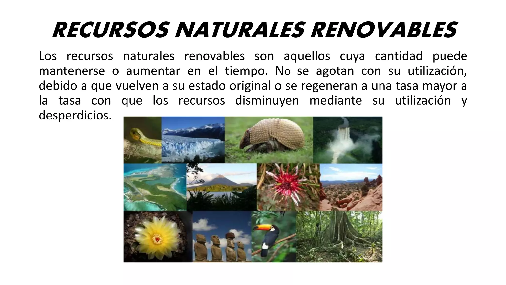 Recursos naturales del ecuador | PPTX
