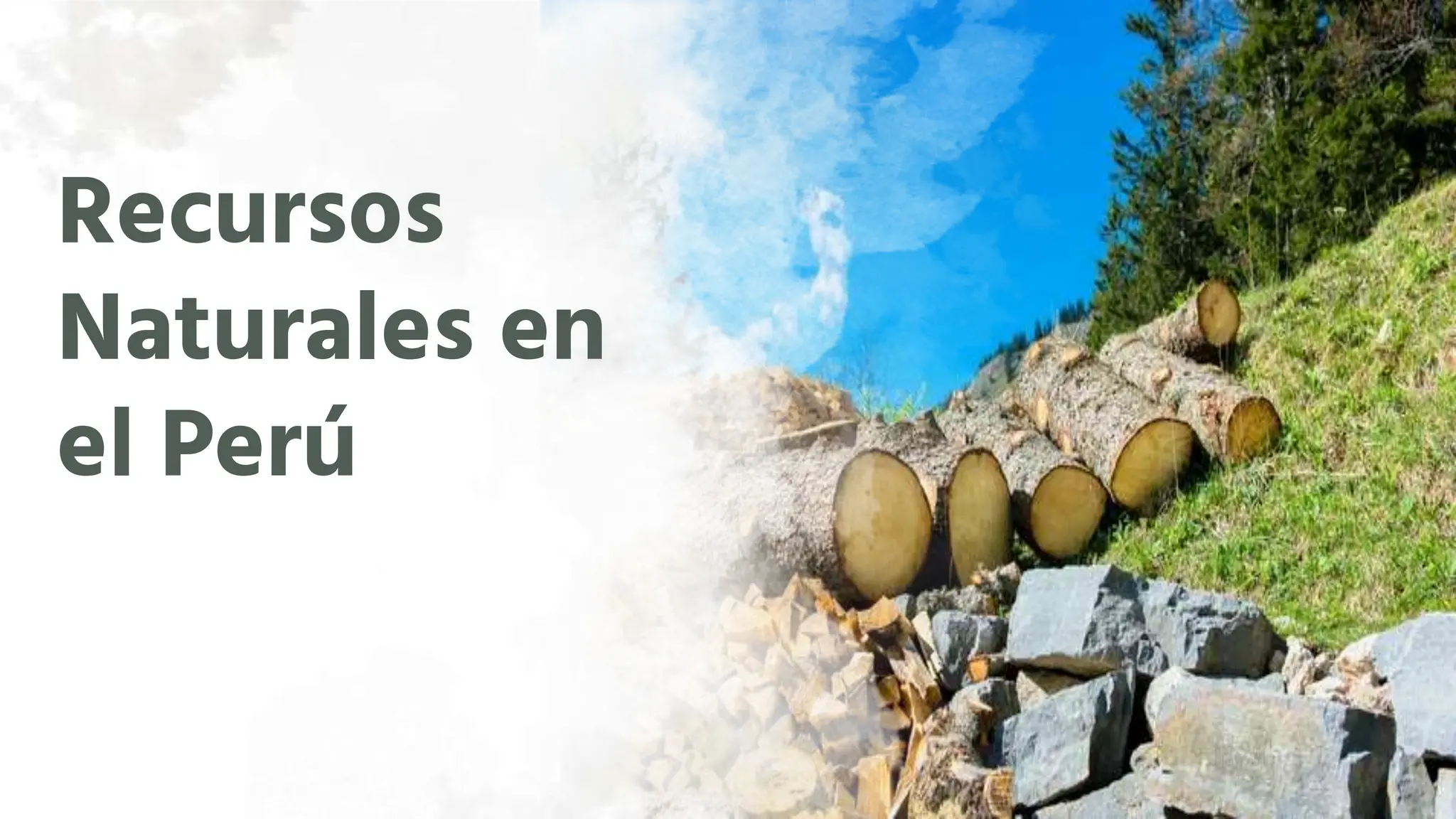 Los recursos naturales del Perú: COSTA, SIERRA Y SELVA | PPTX