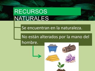 Recursos y sus clasificaciones.pptx