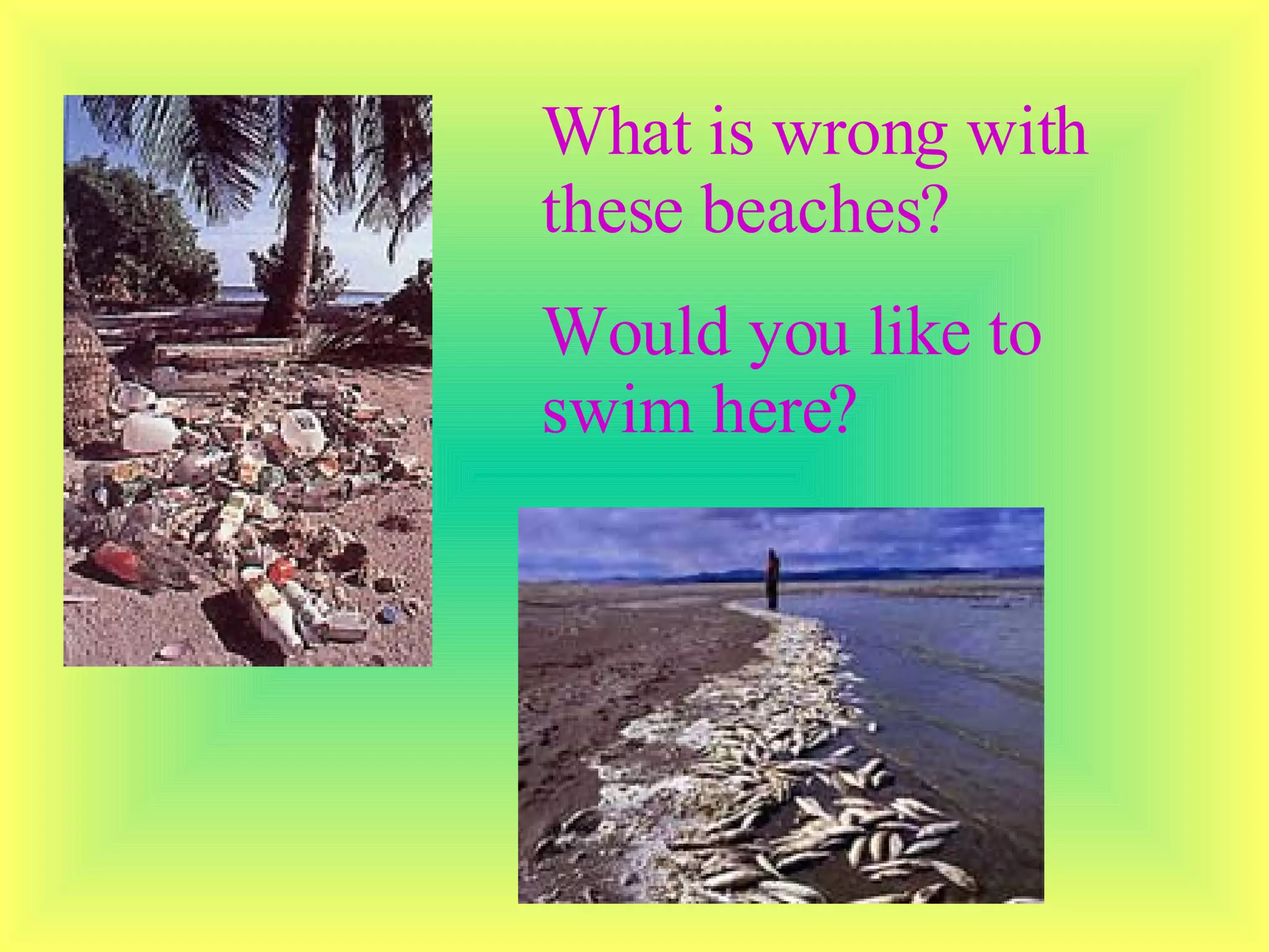 Recycle Presentation | PPT
