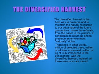 Recycle The Waste | PPT | Environment | Science