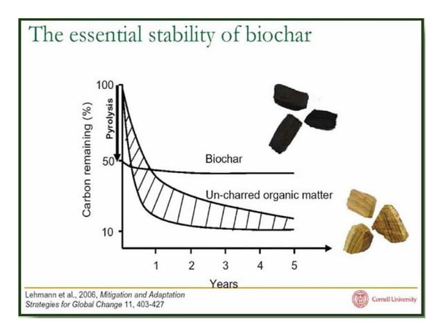 Biochar: Recycling Waste Biomass to its Highest Value Use - McLaughlin ...