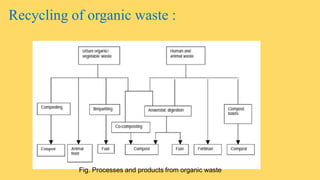 Recycling of organic waste | PDF