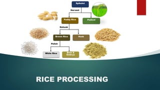 Recycling of rice husk presentation | PPTX