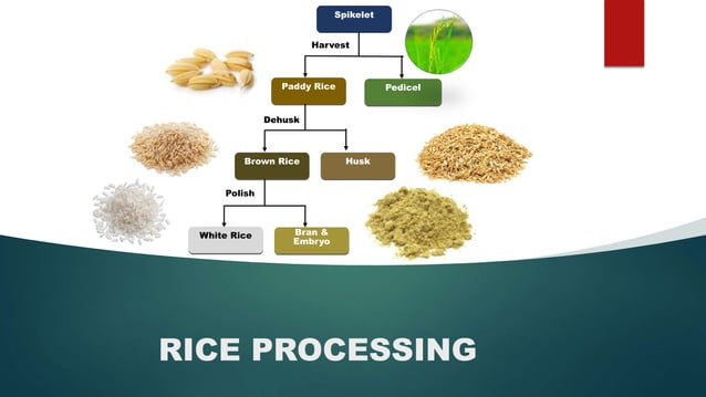 Recycling of rice husk presentation | PPTX