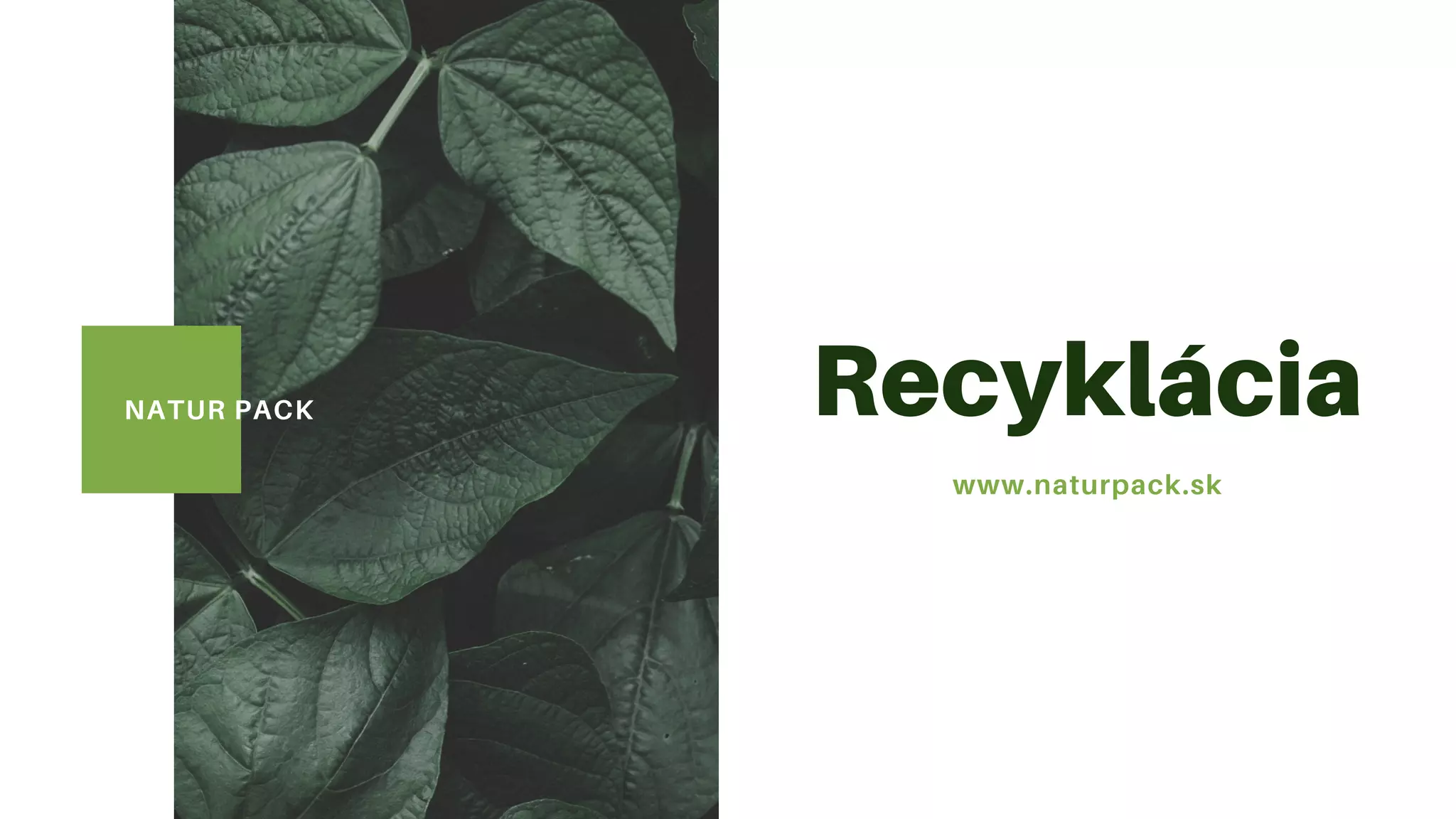 Recyklacia | PDF