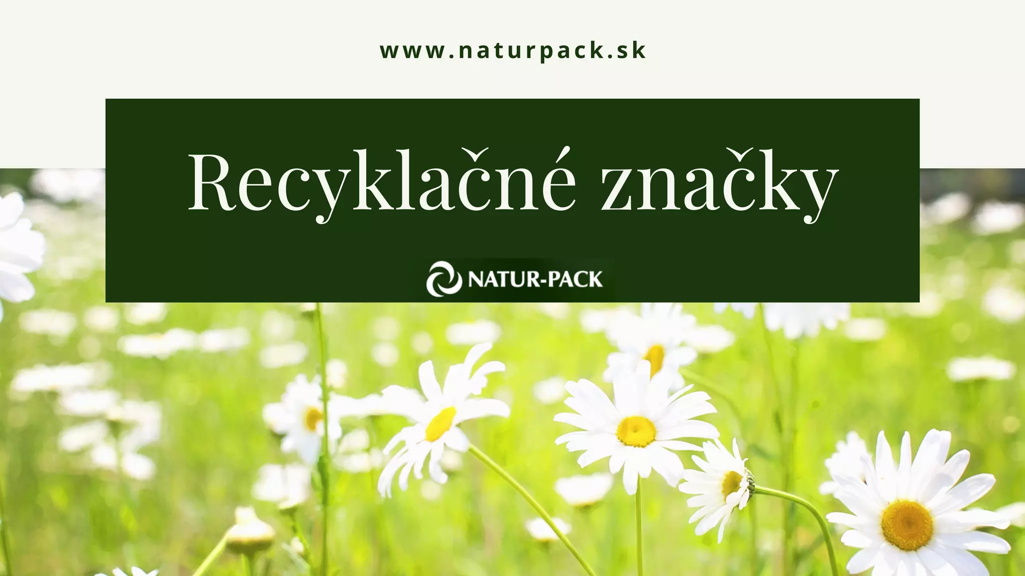 Recyklacne znacky | PDF