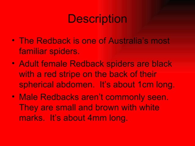 Red Back Spiders Jake | PPT