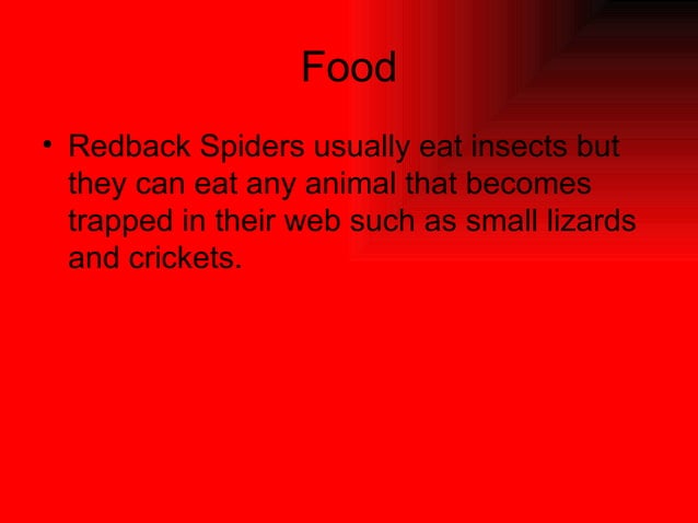 Red Back Spiders Jake | PPT