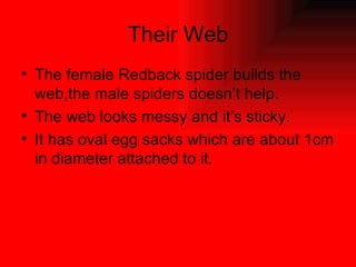 Red Back Spiders Jake | PPT