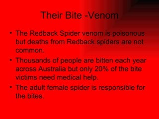 Red Back Spiders Jake | PPT