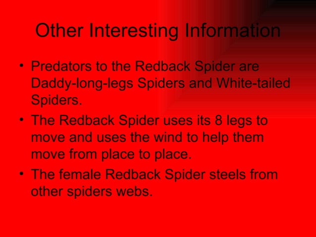 Red Back Spiders Jake | PPT