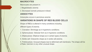 RED-BLOOD-CELLS-AND-THEIR-FUNCTION-2.ppt
