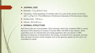 RED-BLOOD-CELLS-AND-THEIR-FUNCTION-2.ppt