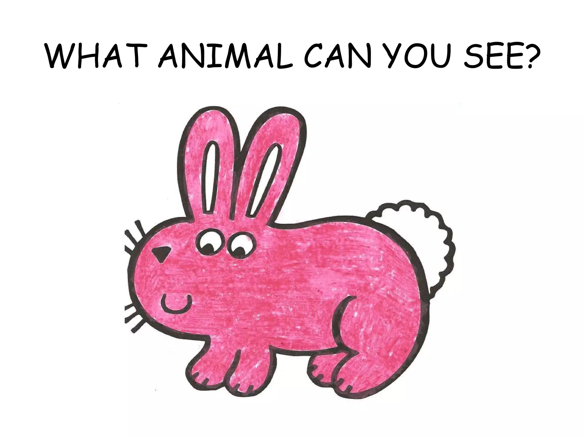 Red Cat Vocabulary | PPT