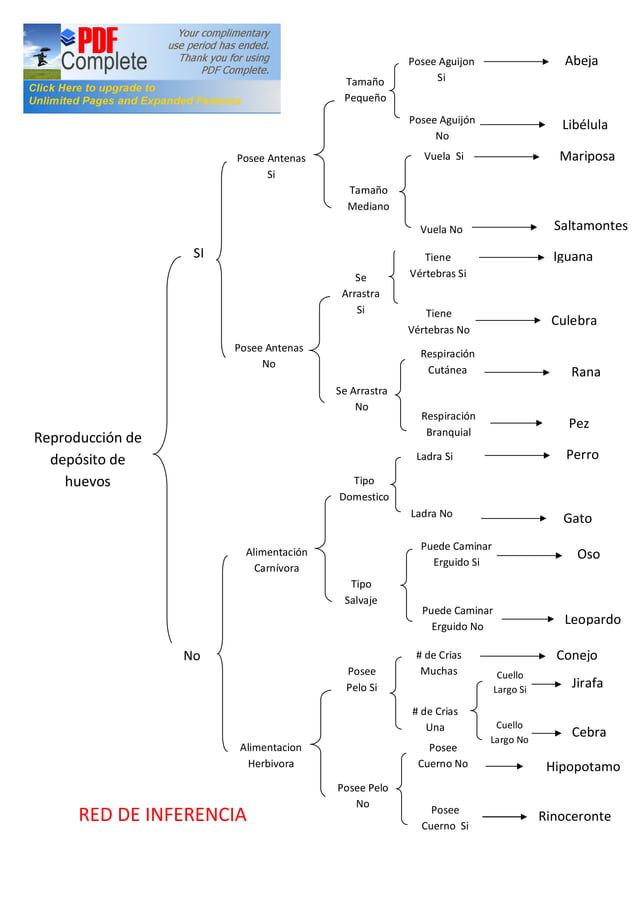 Hoja De Trabajo De Inferencia De Quinto Grado
