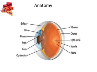 red-eye problems missan college of medicine | PPT