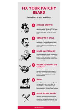 6 Proven Principles That Will Fix Your Patchy Beard | PDF