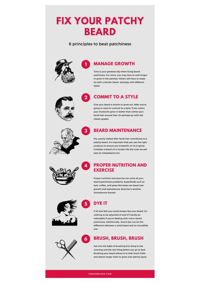 6 Proven Principles That Will Fix Your Patchy Beard | PDF