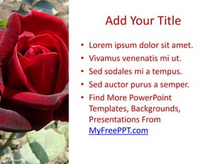 Red--Rose--PowerPoint-Template-1462.potx
