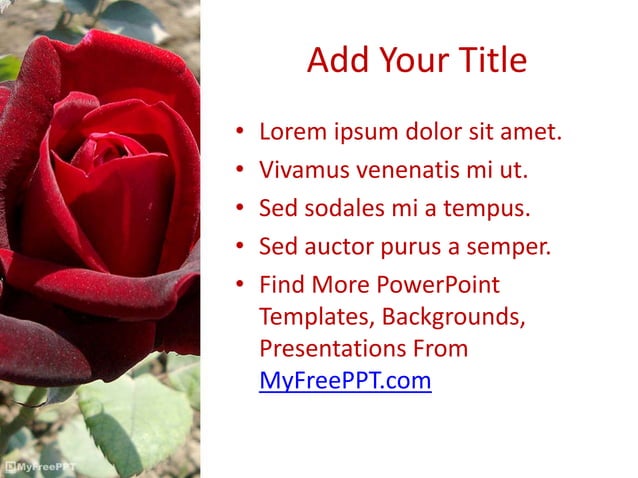 Red--Rose--PowerPoint-Template-1462.potx