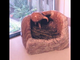 Red-tailed Hawk | PPSX