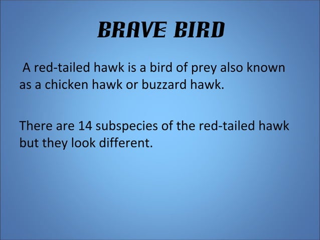 Red tailed hawk | PPT | North America Travel | Travel Locations