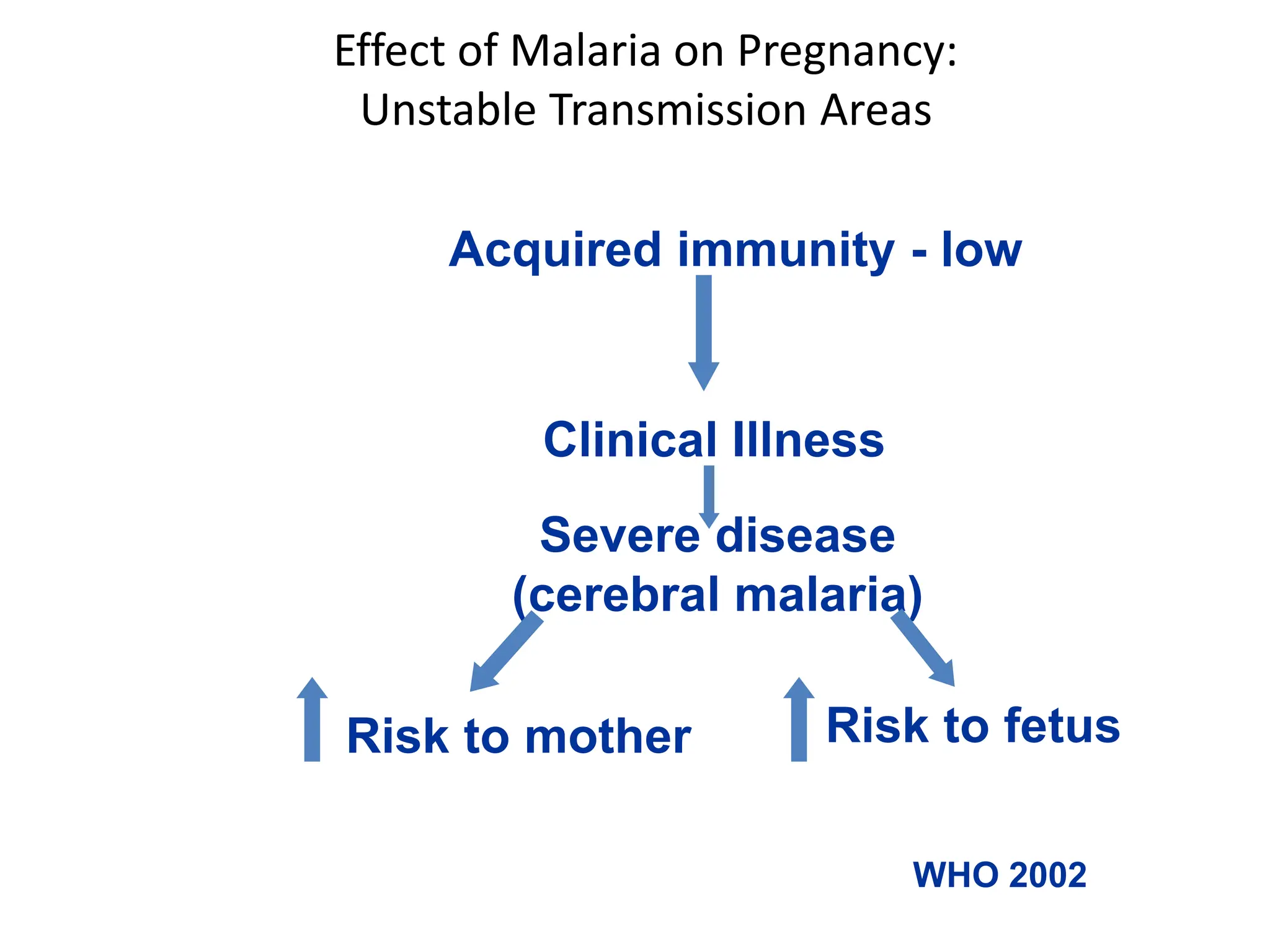 REDAE Maldey Hayelom.Malaria in pregnancy.pptx
